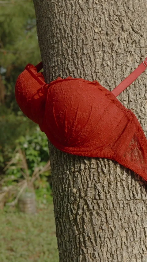 Girlfriends Large Breassts Stock Video Footage | Royalty Free ...