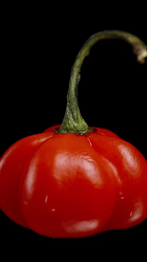 Video In Mini Stock Videos – Royalty-Free HD & 4K Videos | Pond5