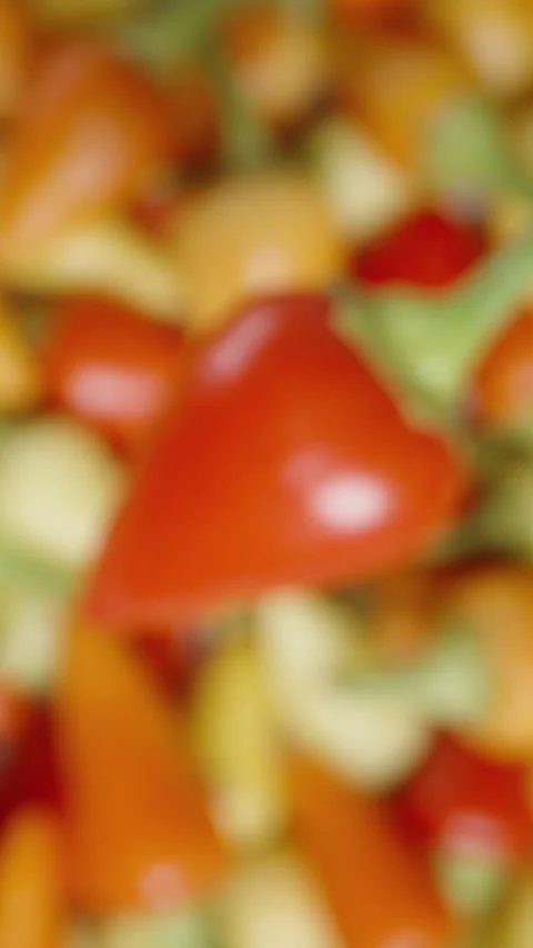 Mini Backdrop Stock Videos – Royalty-Free HD & 4K Videos