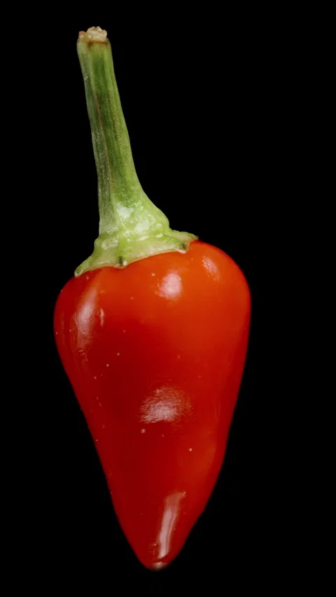 Video In Mini Stock Videos – Royalty-Free HD & 4K Videos | Pond5