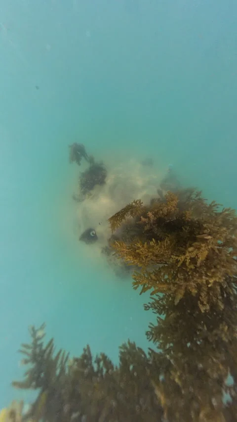 360 Video Campture Stock Videos – Royalty-Free HD & 4K Videos | Pond5