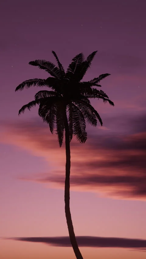 3D Palm Tree Loop Stock Video Footage | Royalty Free 3D Palm Tree Loop ...