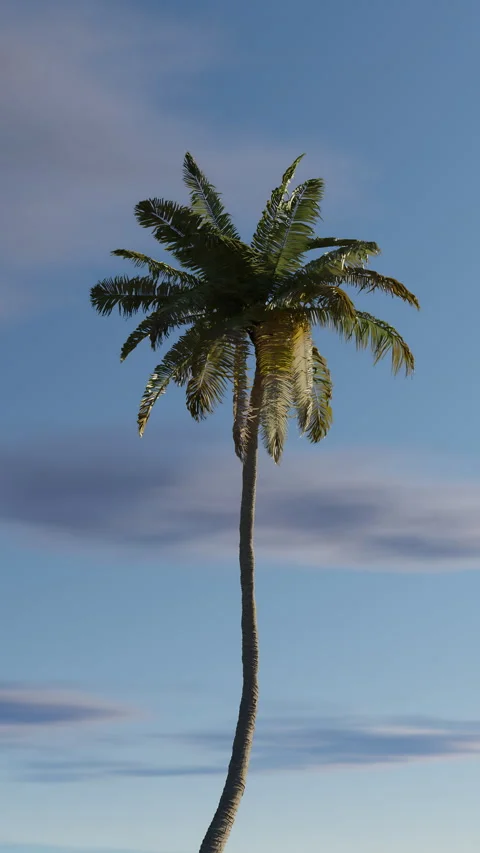 3D Palm Tree Loop Stock Video Footage | Royalty Free 3D Palm Tree Loop ...