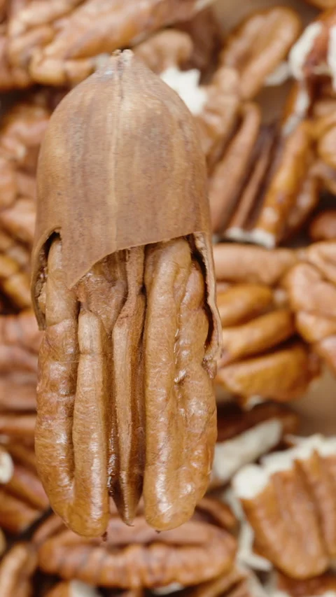 E Nut Video Stock Videos – Royalty-Free HD & 4K Videos | Page 2