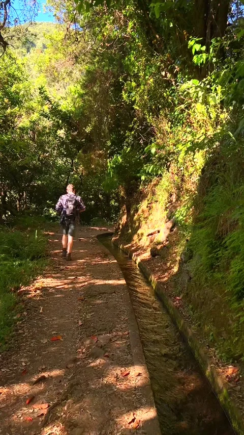 Walk Reel Stock Video Footage | Royalty Free Walk Reel Videos | Pond5