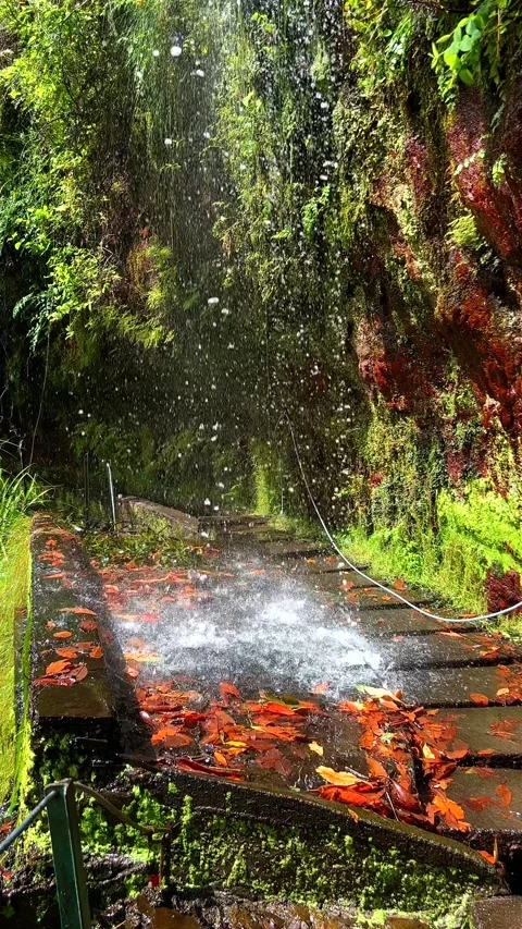 Walk Reel Video Stock Videos – Royalty-Free HD & 4K Videos | Pond5