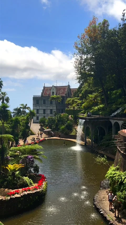 Tree Stories Videom Stock Videos – Royalty-Free HD & 4K Videos | Pond5