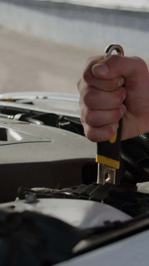 Story Iamge Stock Videos – Royalty-Free HD & 4K Videos