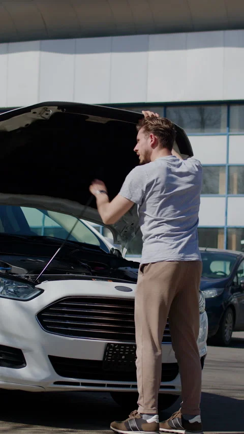 Vvideo Story Of Stock Videos – Royalty-Free HD & 4K Videos | Pond5