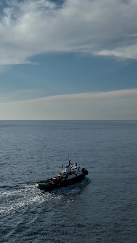 Grayce Video Stock Videos – Royalty-Free HD & 4K Videos