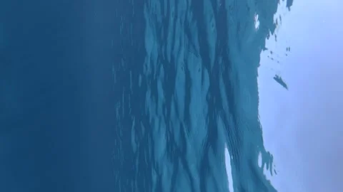 Vertical video, Underwater shot, surface... | Stock Video | Pond5