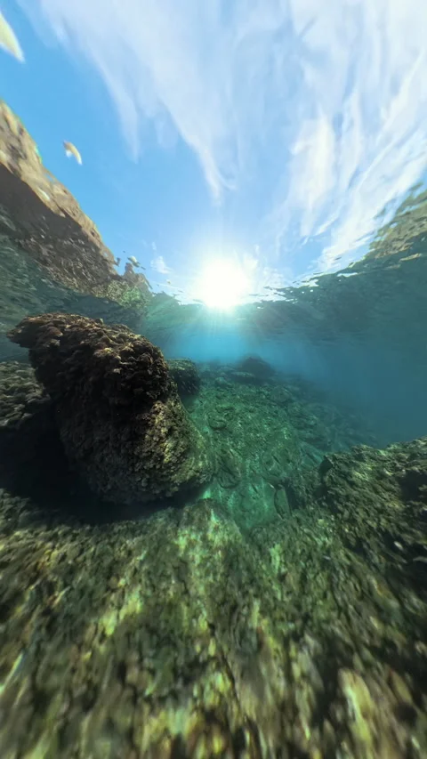 Underwater Streaming Stock Videos – Royalty-Free HD & 4K Videos