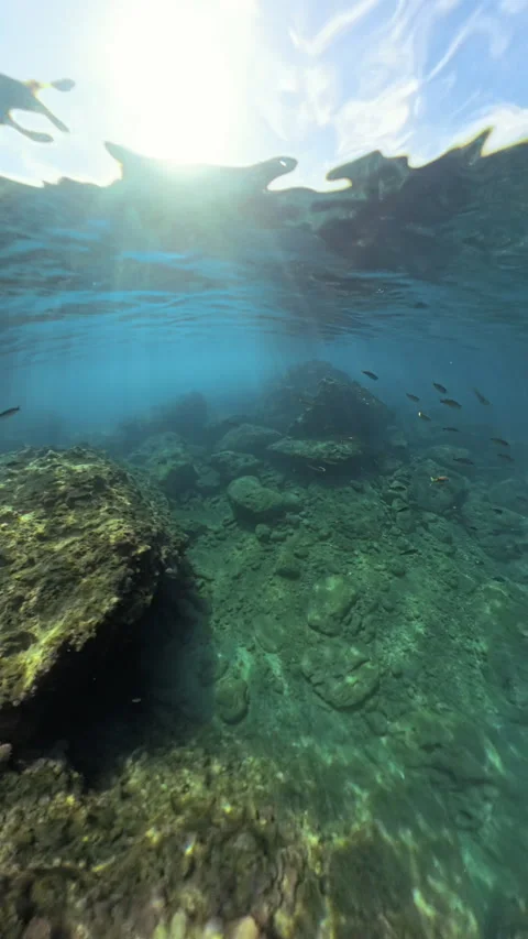 Underwater Streaming Stock Videos – Royalty-Free HD & 4K Videos
