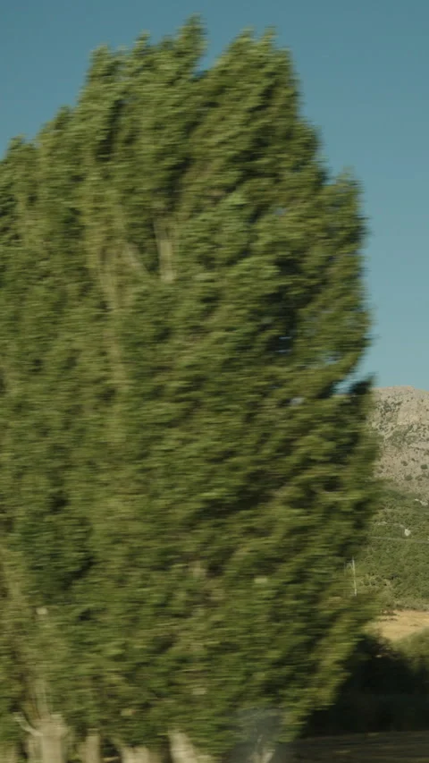 Car Video Streaming Stock Videos – Royalty-Free HD & 4K Videos | Pond5