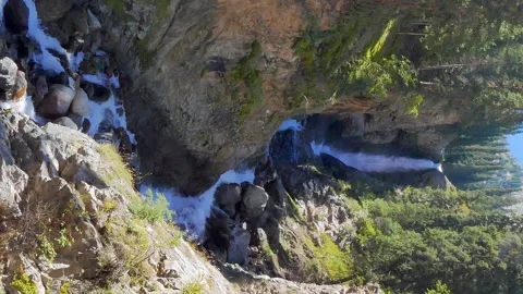 Vertical video. Waterfall Tears Leopard ... | Stock Video | Pond5