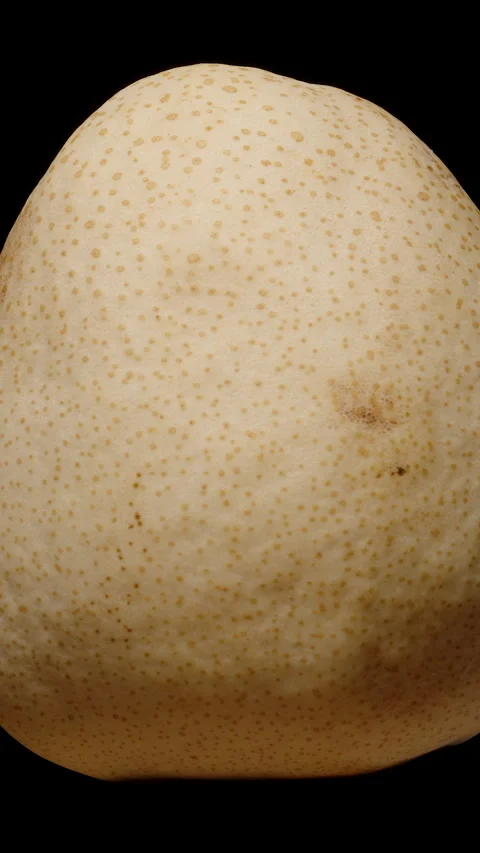 Blacked Asian Video Stock Videos – Royalty-Free HD & 4K Videos | Page 5