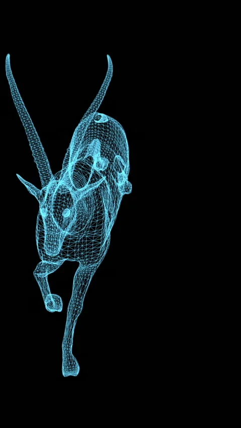 vertical video - wireframe animation of ... | Stock Video | Pond5