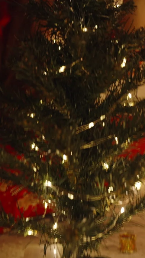 Topper Video Stock Videos – Royalty-Free HD & 4K Videos | Pond5