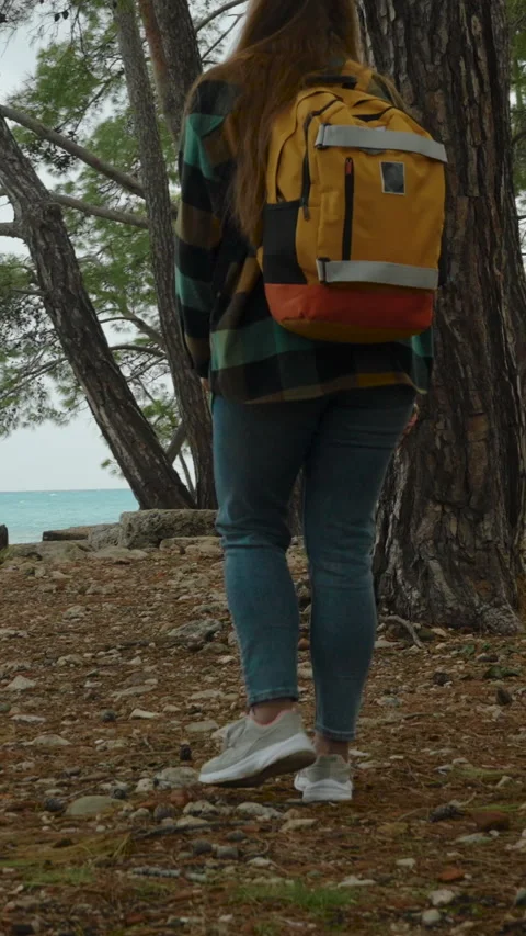 Pinelight Video Stock Videos – Royalty-Free HD & 4K Videos