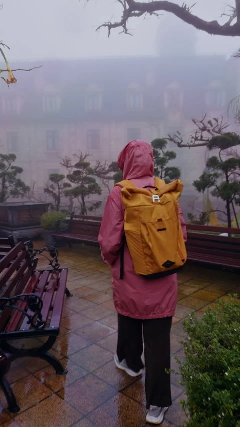 Pink Coat Video Stock Videos – Royalty-Free HD & 4K Videos