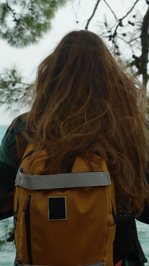 Shesea Video Stock Videos – Royalty-Free HD & 4K Videos