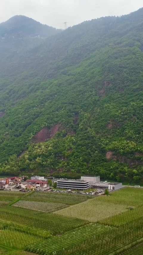 Dr Rodw Stock Videos – Royalty-Free HD & 4K Videos