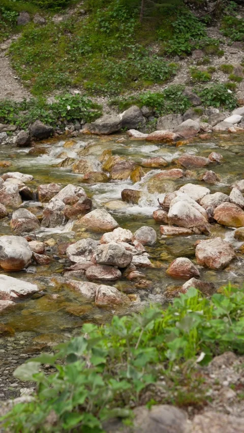 Stream River Rushing Stock Videos – Royalty-Free HD & 4K Videos