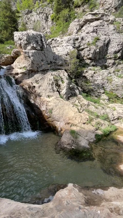 The Wilds Streaming Stock Videos – Royalty-Free HD & 4K Videos | Pond5