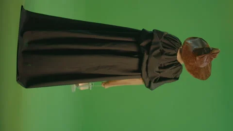 Vertical View.Green Screen.Back view of ... | Stock Video | Pond5