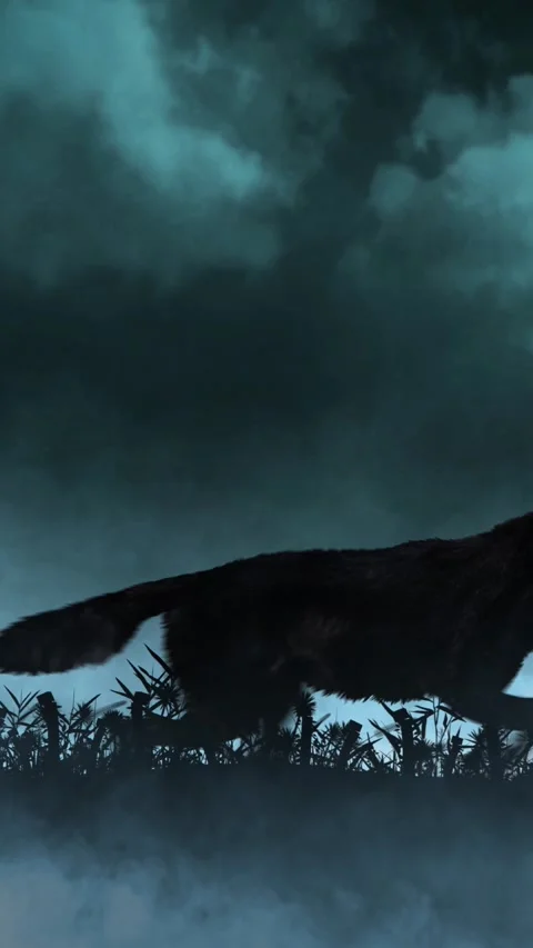 Pack Of Wolves Running Stock Video Footage | Royalty Free Pack Of ...