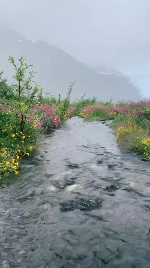 Very Beaatiful Scenery Stock Videos – Royalty-Free HD & 4K Videos | Pond5