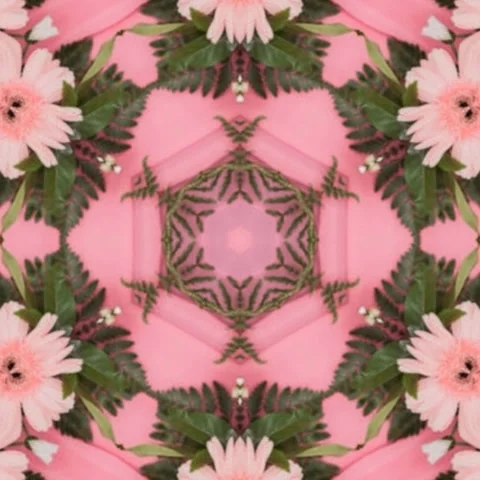 Pattern Floral Background Stock Videos – Royalty-Free HD & 4K Videos