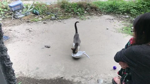 Kitty Girl Stock Videos – Royalty-Free HD & 4K Videos | Pond5