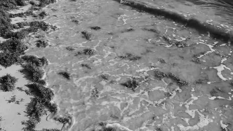 Water Disgust Dirt Stock Footage ~ Royalty Free Stock Videos | Pond5