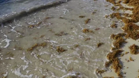 Water Disgust Dirt Stock Footage ~ Royalty Free Stock Videos | Pond5