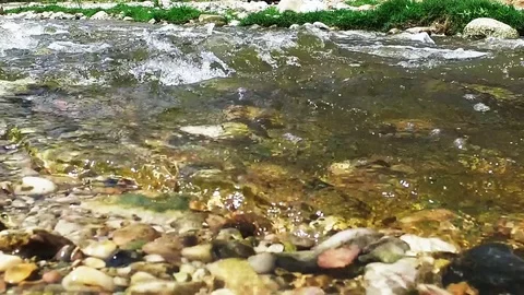 Running Beats Stock Videos – Royalty-Free HD & 4K Videos