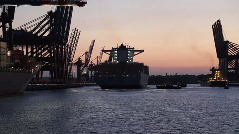 Commercial_Full Stock Videos – Royalty-Free HD & 4K Videos