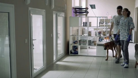 Boy With Animals Stock Videos – Royalty-Free HD & 4K Videos | Pond5