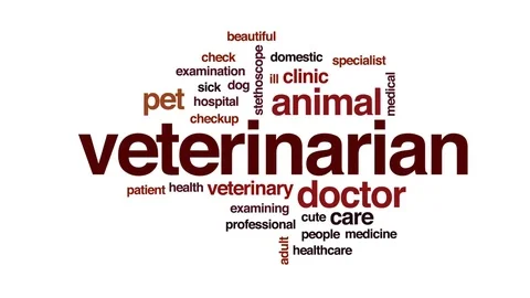Veterinarian animated word cloud, text d... | Stock Video | Pond5