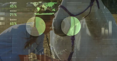 Kneeling Horse Stock Videos – Royalty-Free HD & 4K Videos