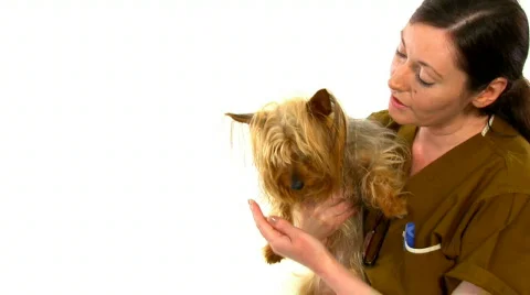 Vet Background Stock Footage ~ Royalty Free Stock Videos | Pond5