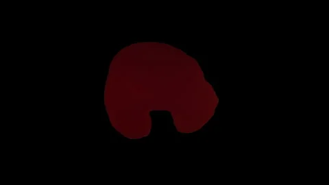 Blood Pool Stock Video Footage | Royalty Free Blood Pool Videos | Pond5