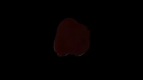 Blood Vfx Stock Footage ~ Royalty Free Stock Videos | Pond5