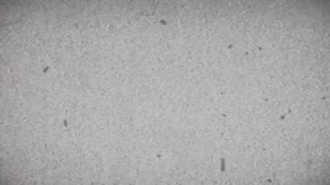 VHS background with noise and particles,... | Stock Video | Pond5