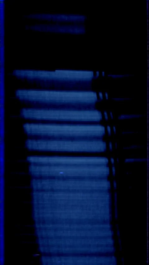 VHS look with vertical lines framing a d... | Stock Video | Pond5