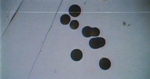 VHS recording of bacteria and large roun... | Stock Video | Pond5