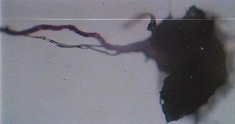 Horror Vhs Stock Videos – Royalty-Free HD & 4K Videos