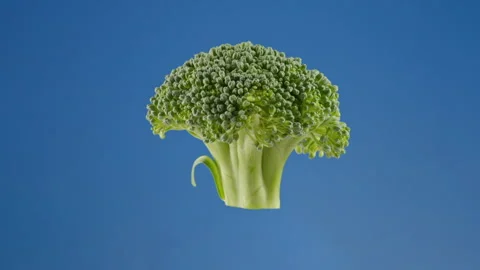 Vibrant broccoli spinning on blue-screen... | Stock Video | Pond5