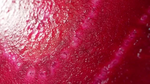 Beetroot Recipe Stock Videos – Royalty-Free HD & 4K Videos | Pond5