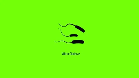 Vibrio Cholerae icon animation | Stock Video | Pond5